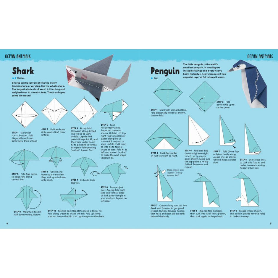 Origami Activity Book - Paper Planes