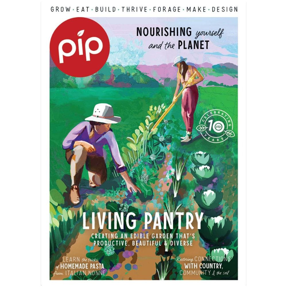 Buy Pip Magazine - Issue 32 – Biome US Online