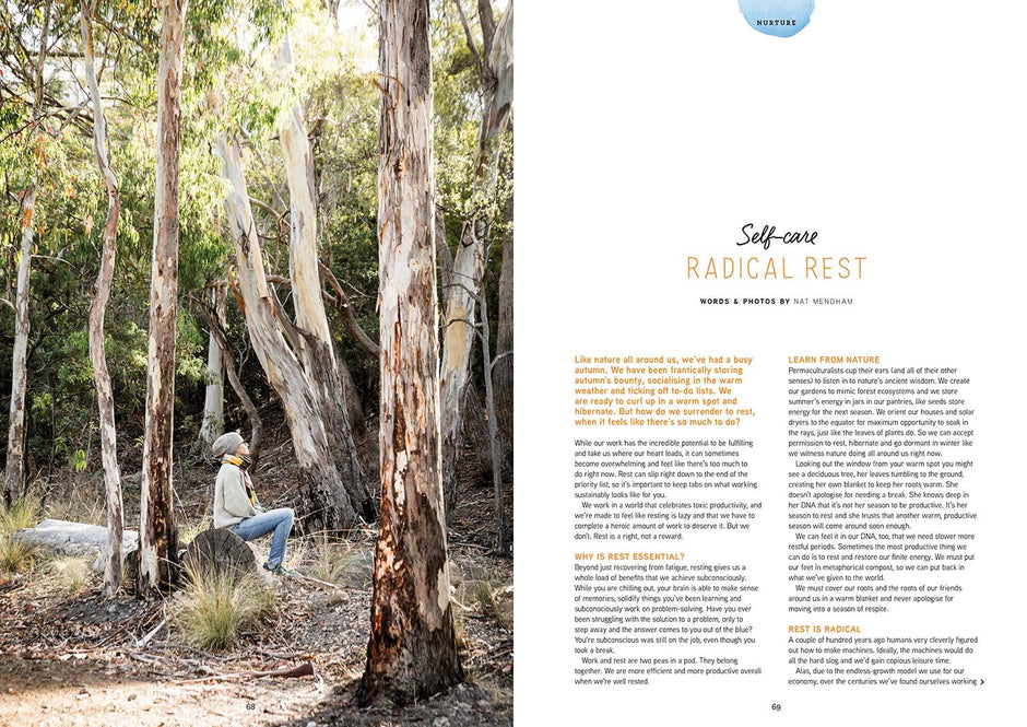 Make Your Own Cooling Rhassoul Clay Hair & Scalp Mask – Biome US