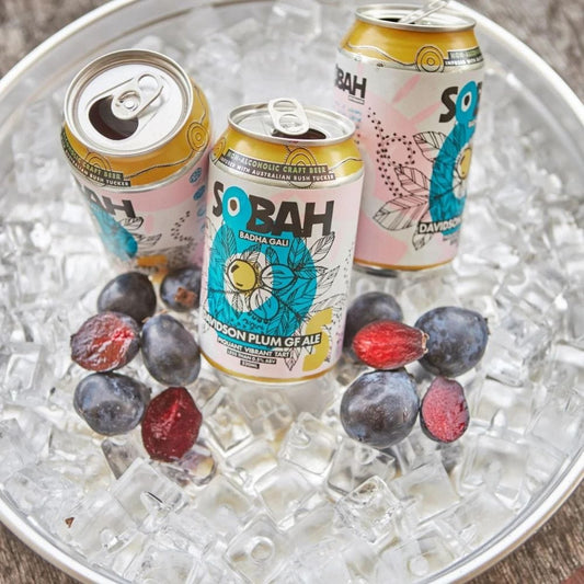 Healthy Drinks – Biome US