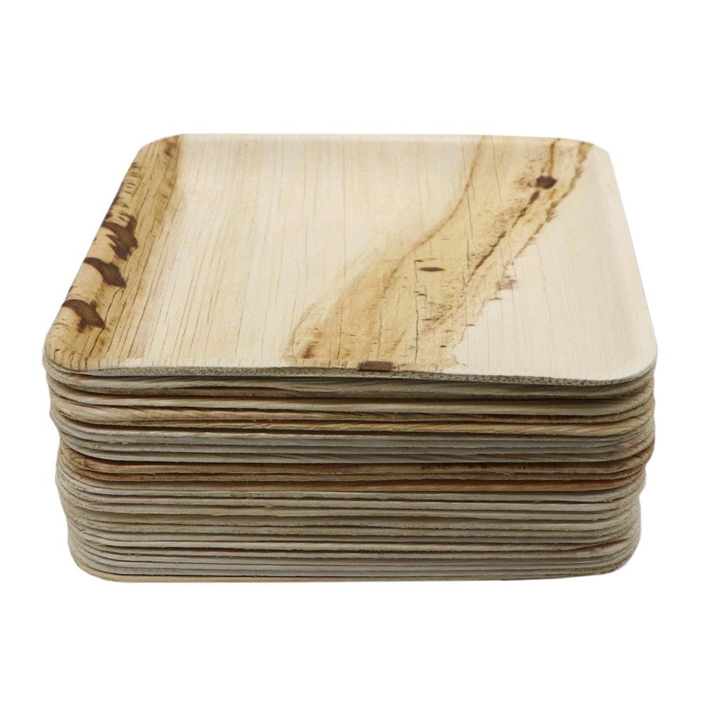 Palm Leaf Plates – Biome US