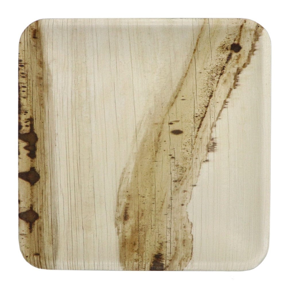 Palm Leaf Plates – Biome US